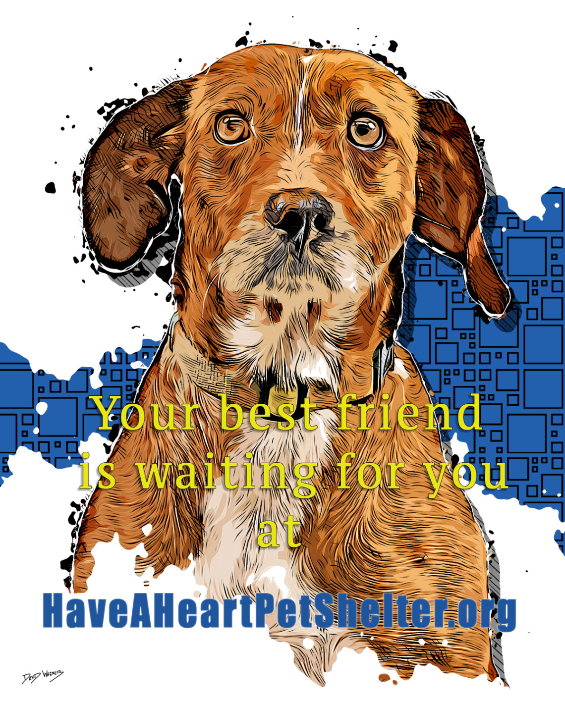 Have A Heart Pet Shelter – Have A Heart Humane Society